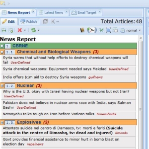 African Union Login Screen